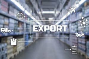 Customs Import And Export Code in UAE, Dubai | PMC